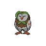 Pokémon Vortex v5 - Dartrix - Pokédex