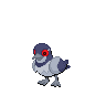 Pokémon Vortex - Wattrel - Pokédex
